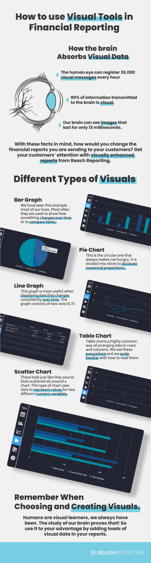 How to use Visual Tools in Financial Reporting - Reach Reporting